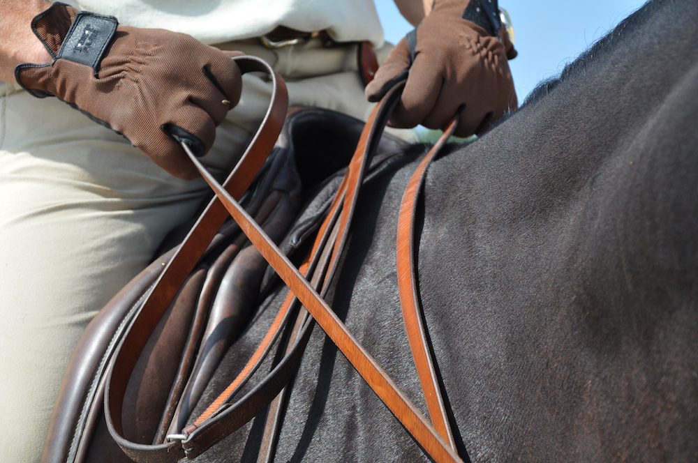 How To Hold Horse s Reins How To Hold Horse s Reins